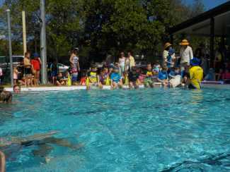 Mooloolah State School