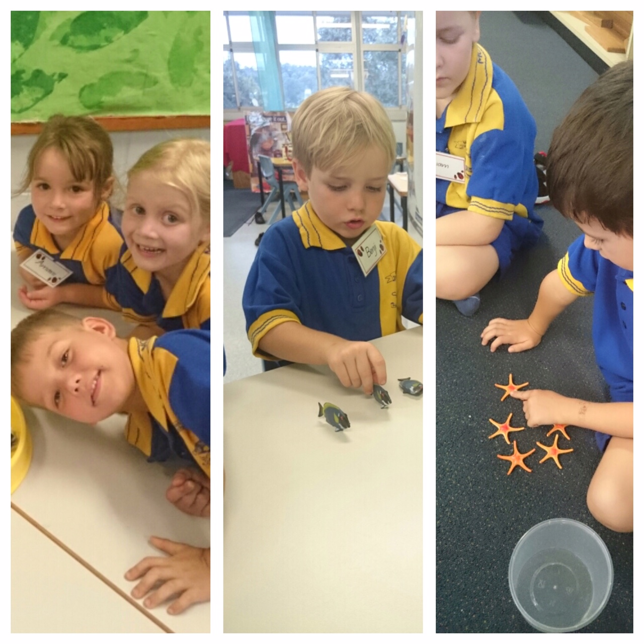 Mooloolah State School